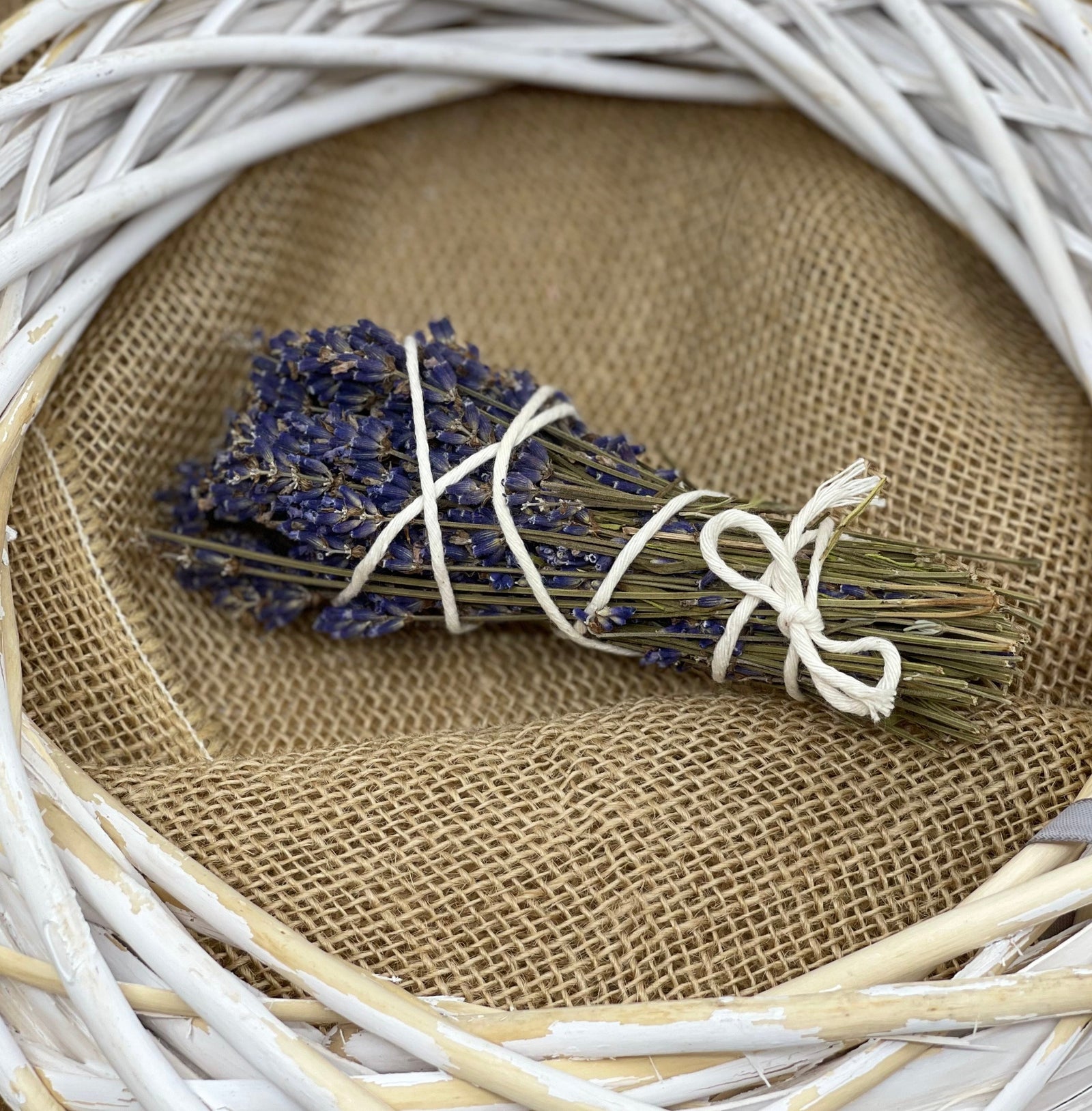 Kelso Lavender - local lavender farm shop and experience